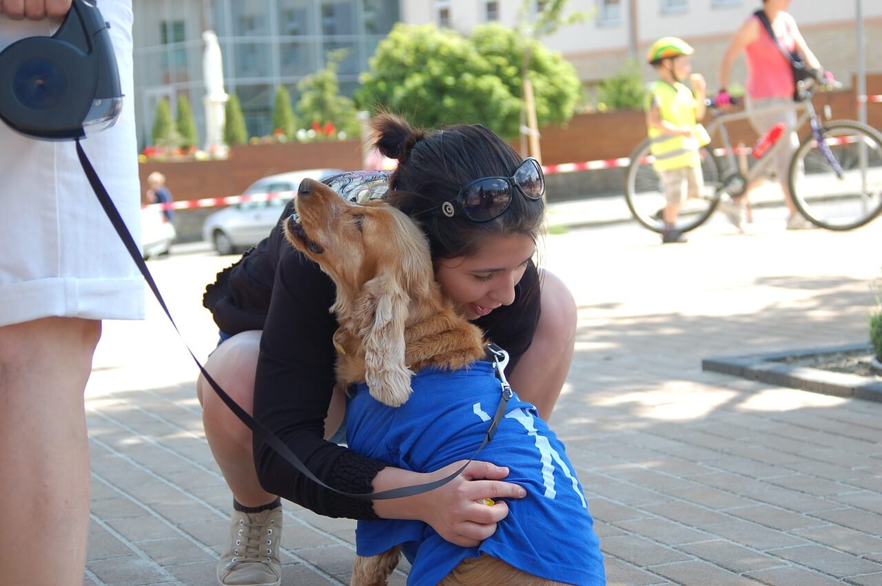 Important To Know ADA Laws About Service Dogs